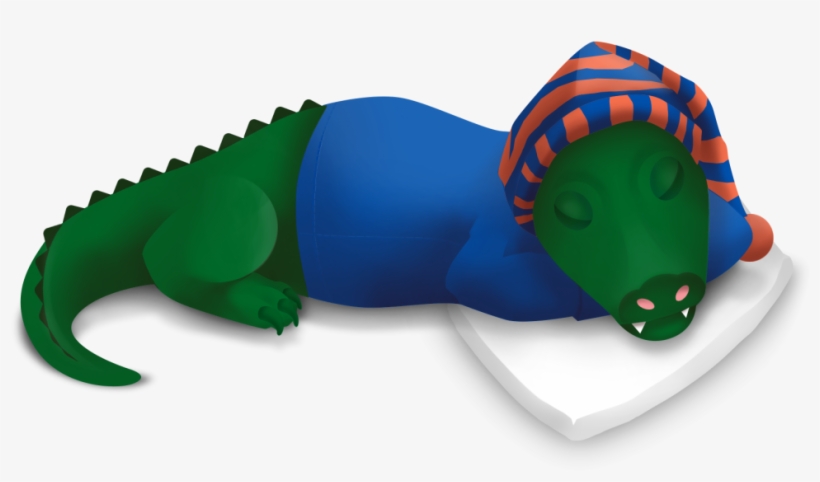 Sleeping Gator Transparent PNG - 1024x671 - Free Download on NicePNG