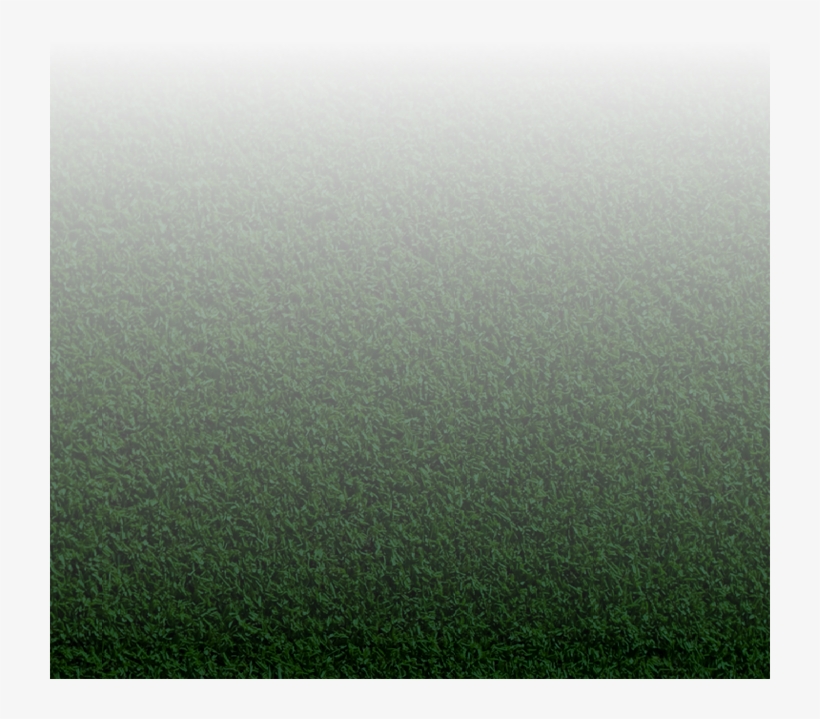 Tiger - - Mist Transparent PNG - 720x1280 - Free Download on NicePNG