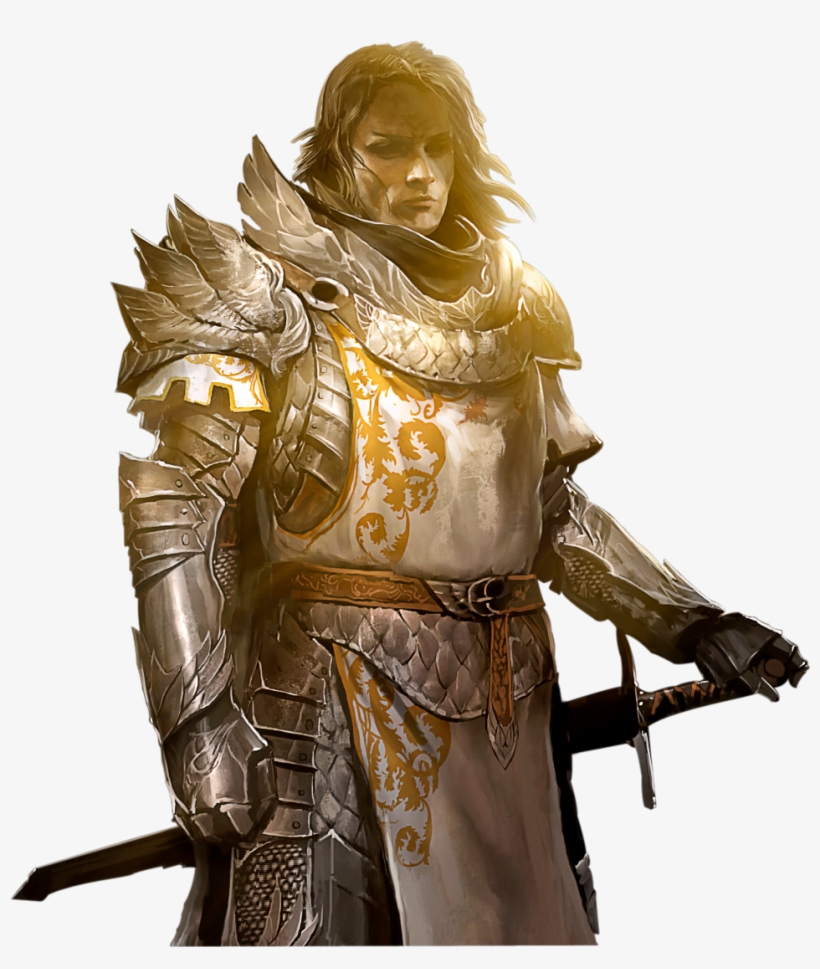 Png Image Warrior - Guild Wars 2 Meme Transparent PNG - 956x1084 - Free ...