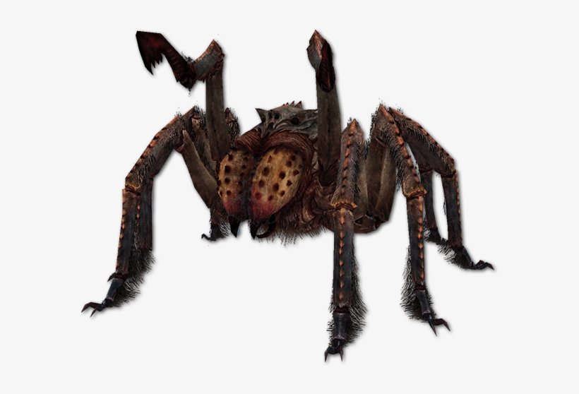 Download Frostbite Spiders Aren't Even Spiders - Spider Skyrim - HD ...