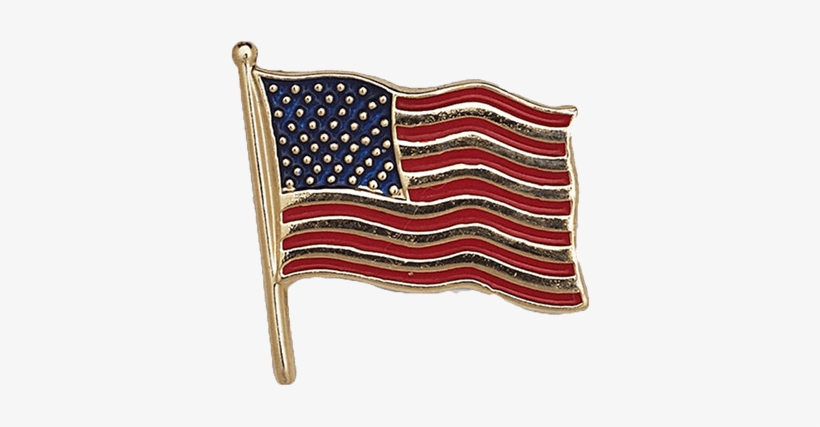 American Flag Pin Png Transparent PNG - 500x500 - Free Download on NicePNG