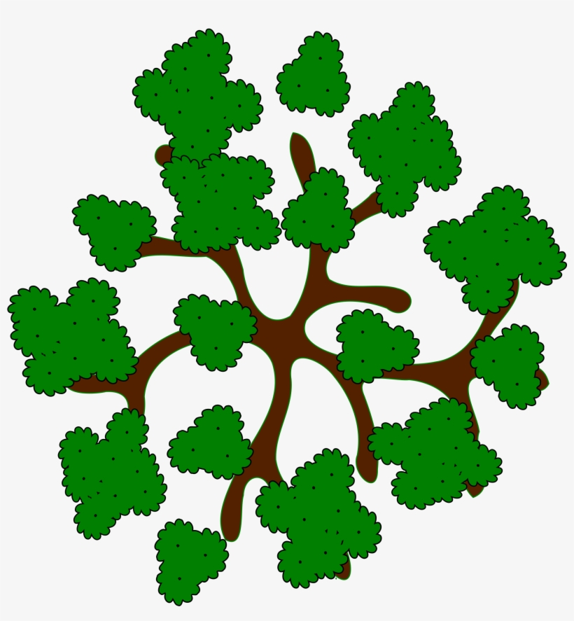 Tree Top View Illustration Png