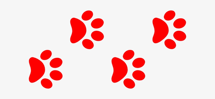 Paw Print Border - Paw Transparent PNG - 600x300 - Free Download on NicePNG