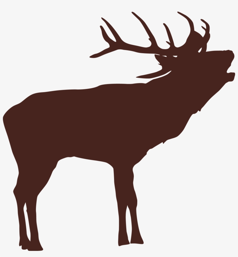 Elk Transparent PNG - 1671x1721 - Free Download on NicePNG