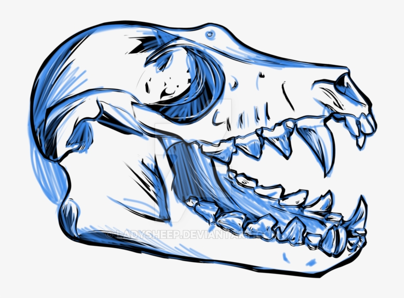 Collection Of Free Bats Drawing Skull Download On Ubisafe - Art ...