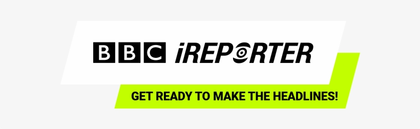 Cbeebies Chatty Bugbies Fun Sounds 12cm Soft Toy Wobble Transparent PNG ...