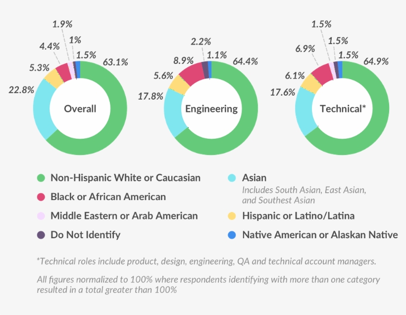 Race And Ethnicity Charts - Ethnic Group Transparent PNG - 800x593 ...