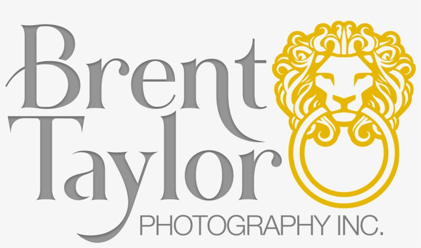 Logo - Trane Transparent PNG - 2867x1794 - Free Download on NicePNG