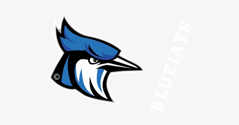 Logo - Raytown High School Mascot Transparent PNG - 500x444 - Free ...