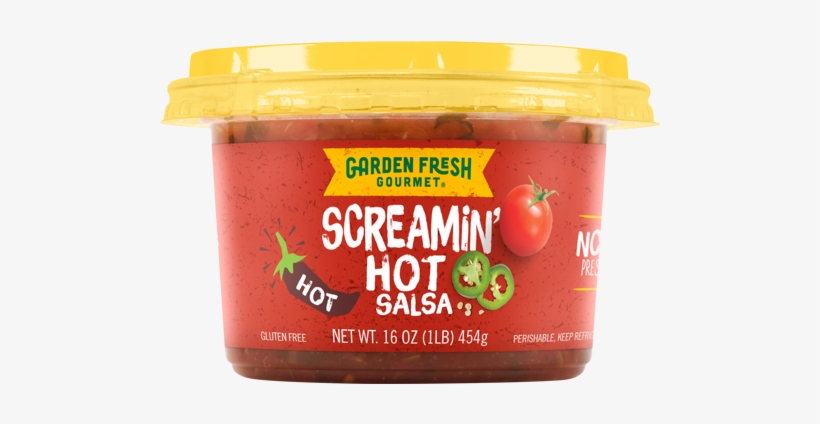 Salsa / Red Salsa - Thick And Chunky Salsa Transparent PNG - 500x350 ...