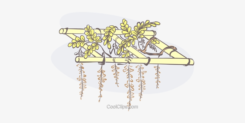Hanging Plants Royalty Free Vector Clip Art Illustration - Hanging ...