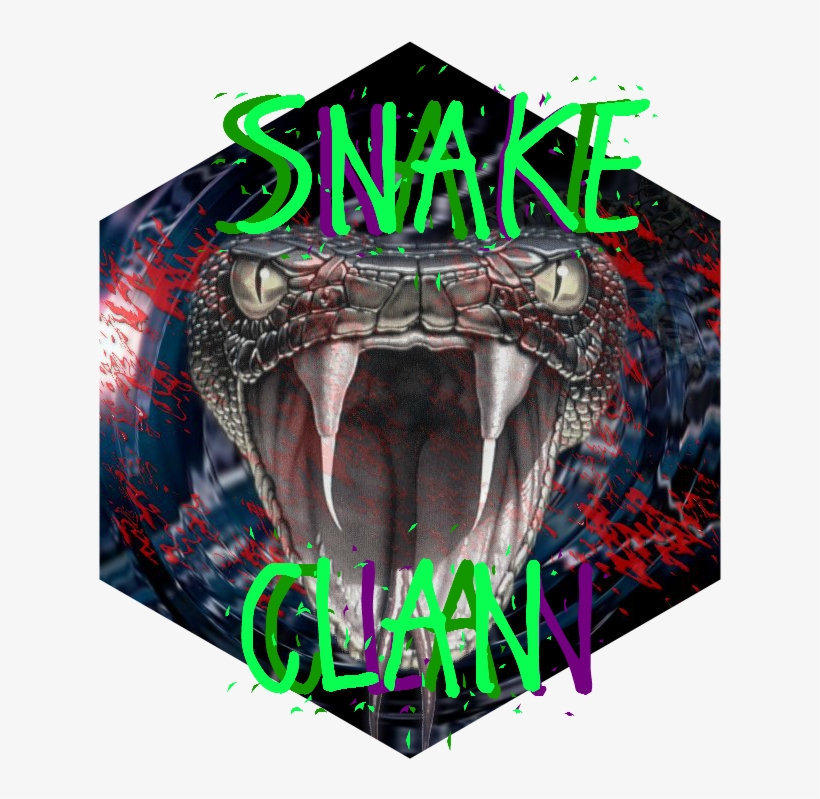 Snake Fangs Venom Poison Wallpaper - Viper Snake Head Transparent PNG ...