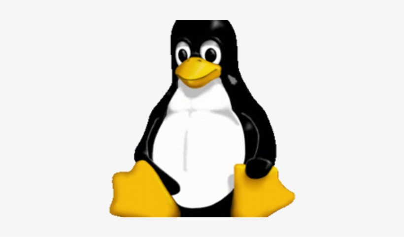 Ben Skev - Linux Penguin Vector Transparent PNG - 400x400 - Free ...