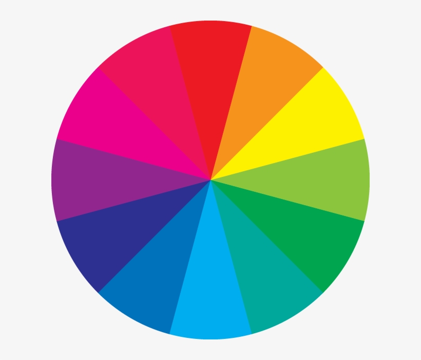 Dividing A Colour Wheel - 12 Segment Colour Wheel Transparent PNG ...