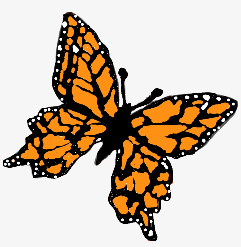 Butterfly Gardens Inc - \butterfly Transparent PNG - 1256x1224 - Free ...