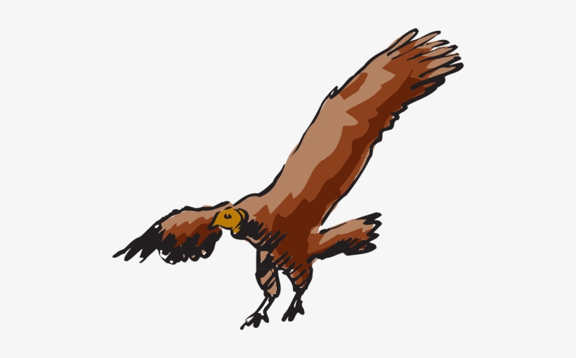 Scavanger Buzzard Bird Carnivore - Vulture Transparent PNG - 500x430 ...