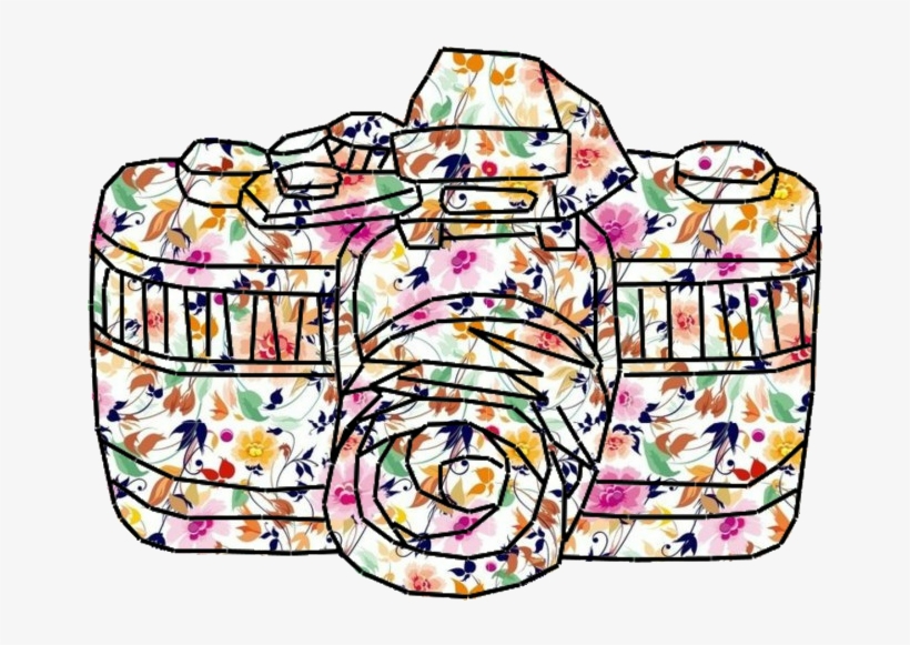 Camara Png - Camaras De Colores Png Transparent PNG - 778x562 - Free ...