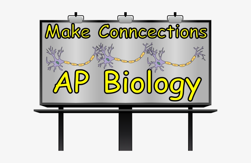 Small - Ap Biology Clip Art Transparent PNG - 600x454 - Free Download ...