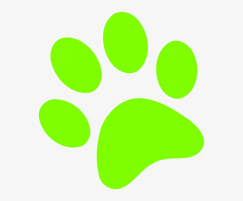 Claws Paw Green Transparent PNG - 558x598 - Free Download on NicePNG