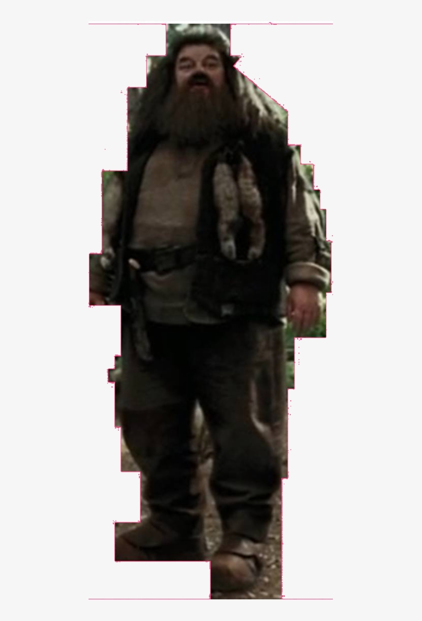 Hagrid - ฮิปโป ก ริ ฟ ฟ์ Transparent PNG - 477x1127 - Free Download on ...