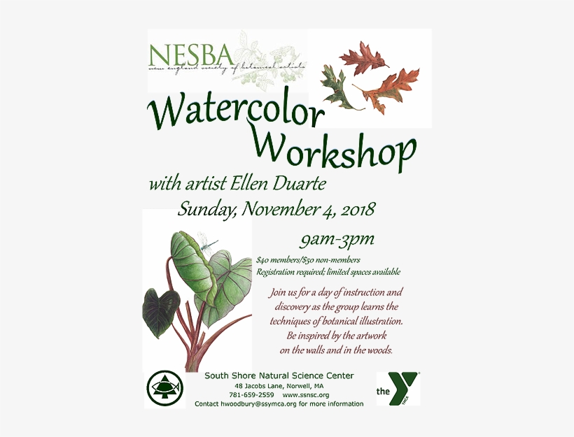 Watercolor Workshop With Artist Ellen Duarte - Jasmine Transparent PNG ...