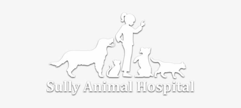 Sully Animal Hospital Transparent PNG - 520x300 - Free Download on NicePNG