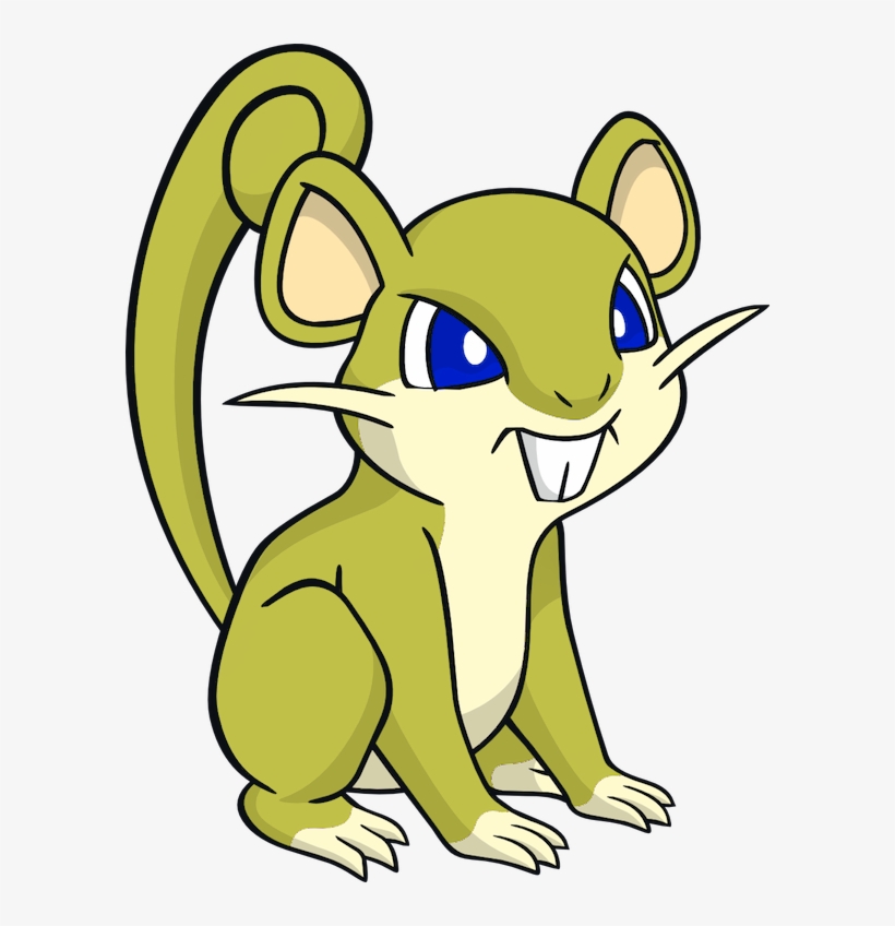 019 Rattata Dw Shiny - Shiny Rattata Png Transparent PNG - 590x768 ...