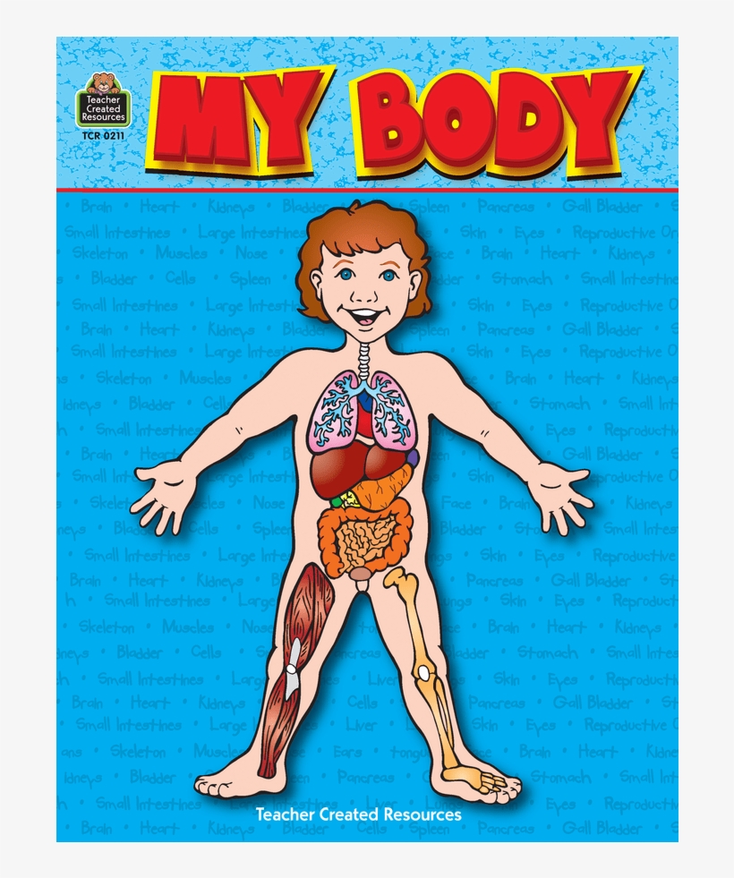 Teacher Created Resources Tcr0211 My Body Thematic Transparent PNG ...
