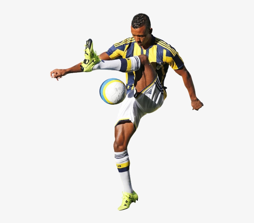 Nani Transparent PNG - 495x640 - Free Download on NicePNG