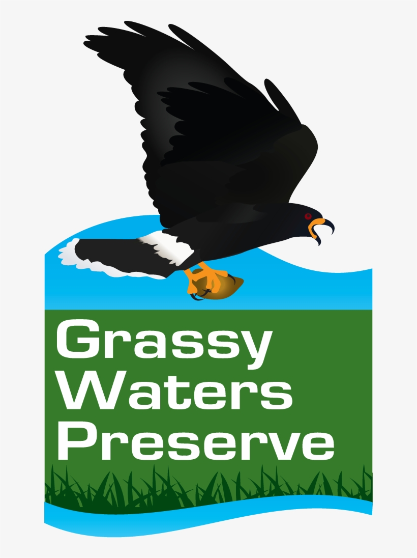 Grassy Waters Logo - Grassy Waters Preserve Logo Transparent PNG ...