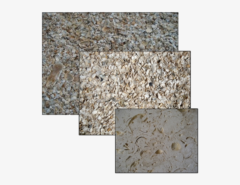 Images Of Tabby Finish - Gravel Transparent PNG - 547x557 - Free ...
