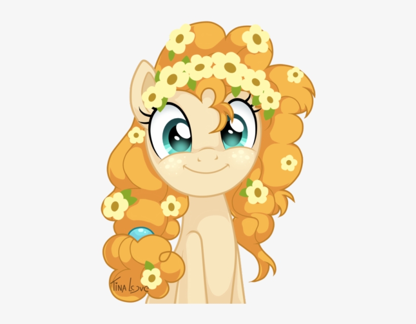 Buttercup Mlp - Buttercup And Bright Mac Transparent PNG - 500x588 ...