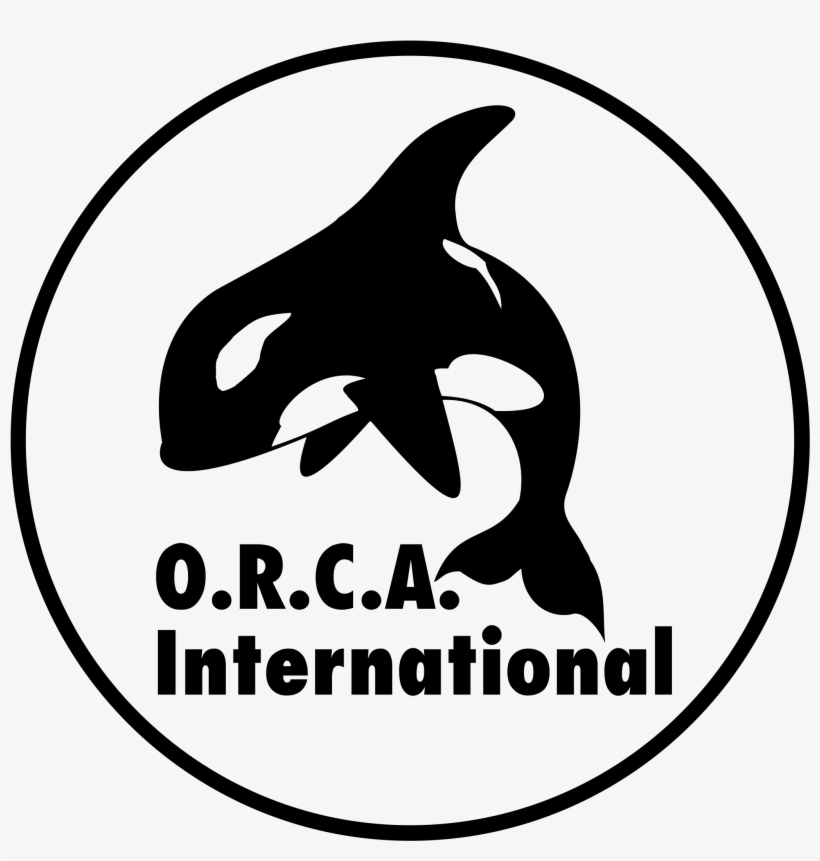 Orca International Logo Png Transparent - Killer Whale Transparent PNG ...