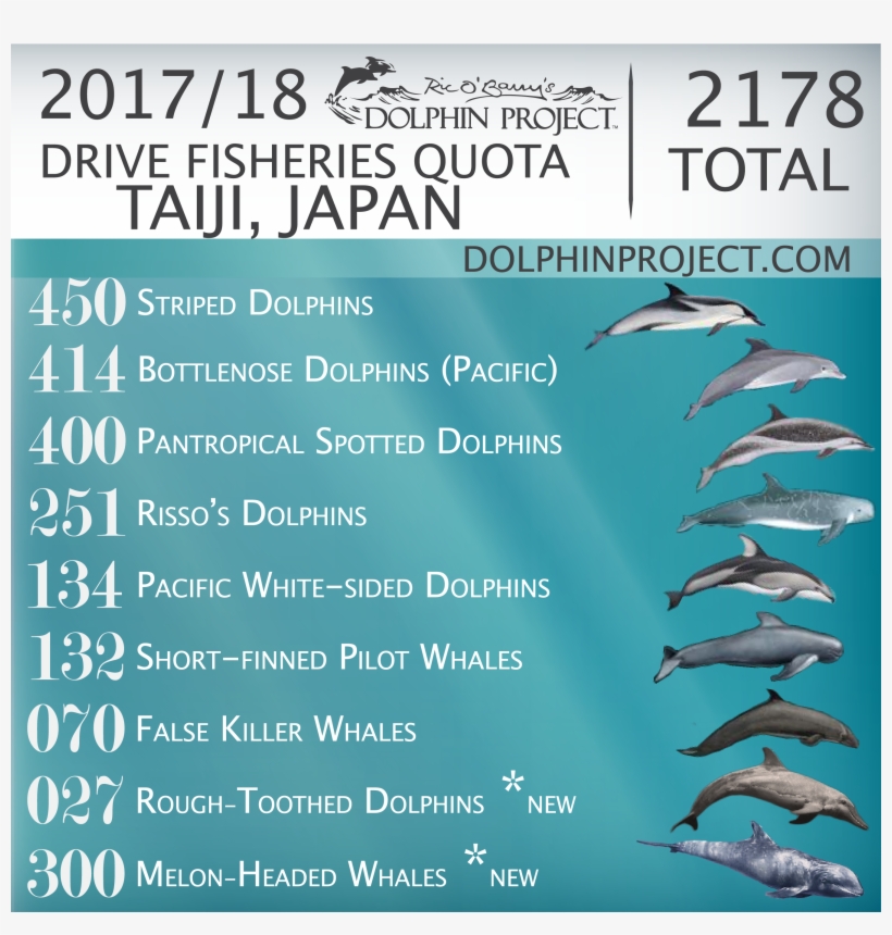 2017/18 Drive Fisheries Quota, Taiji, Japan - Taiji Japan Dolphin ...