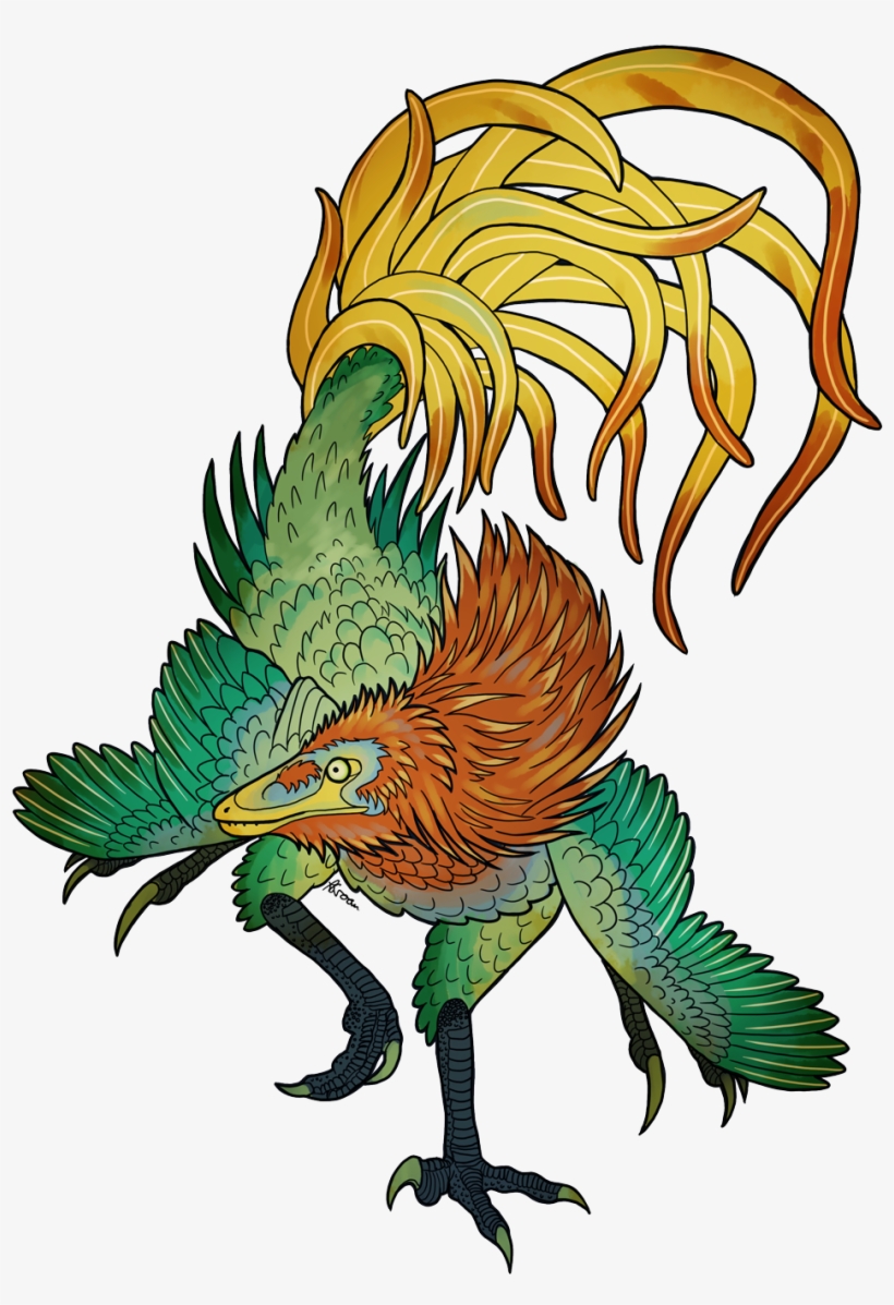 Notlikethis Png Transparent PNG - 1000x1400 - Free Download on NicePNG