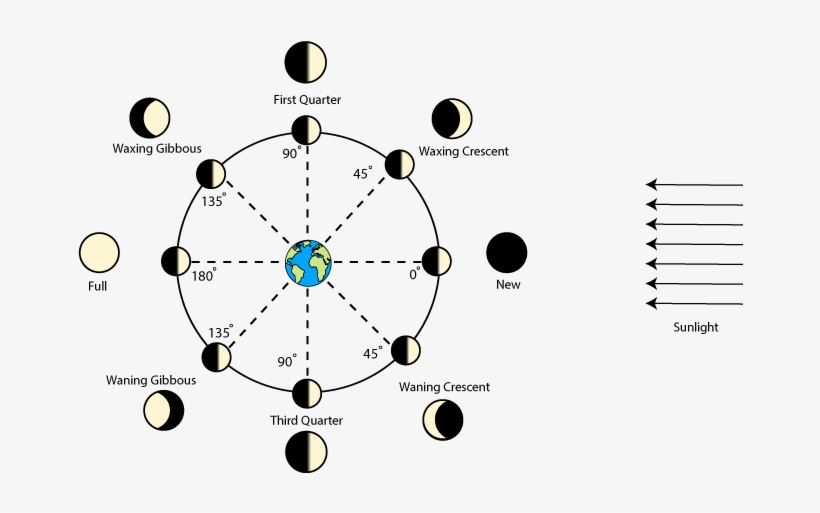 Download Phases Of The Moon Diagram - Moon Phases With Degrees - HD ...