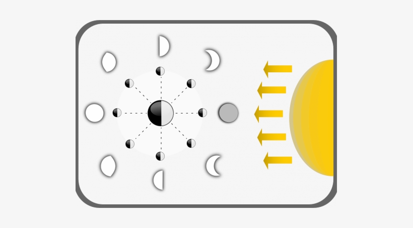 Diagram Showing Different Moon Phases - Moon Phases No Labels ...