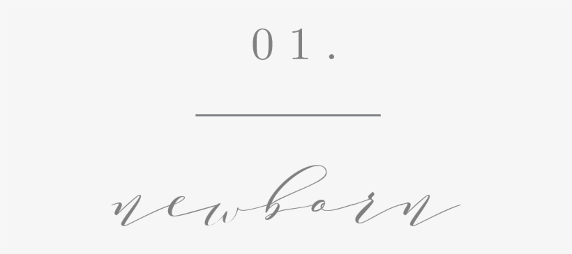 Newborn - Calligraphy Transparent PNG - 960x395 - Free Download on NicePNG