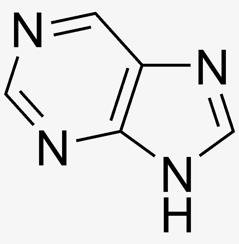 Purine Structure - 4 Hydroxy 5 Methyl 3 2h )- Furanone Transparent PNG ...
