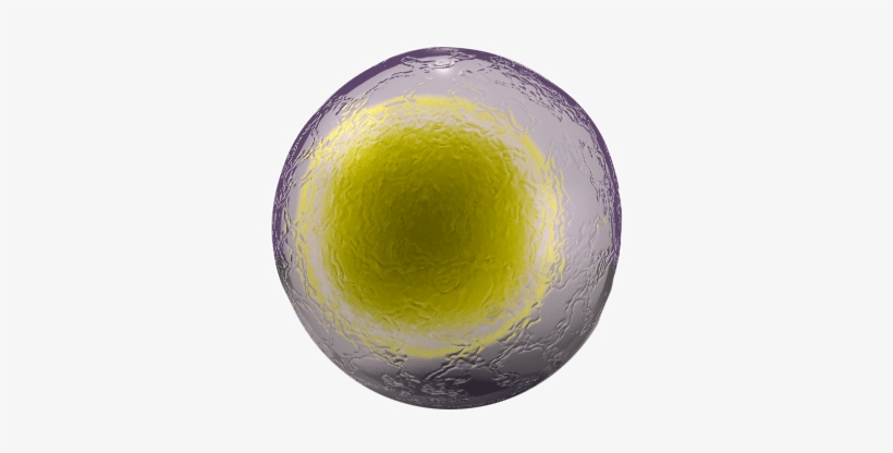 Common Lymphoid Progenitor Cell Transparent PNG - 391x383 - Free ...