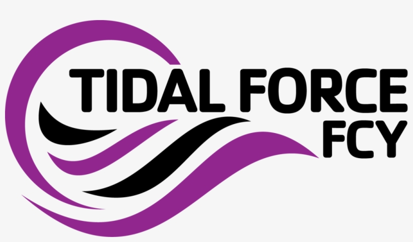 Tidal Force Logo - Tidal Force Transparent PNG - 1024x553 - Free ...