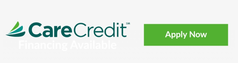 To Make A Payment - Calligraphy Transparent PNG - 1600x349 - Free ...