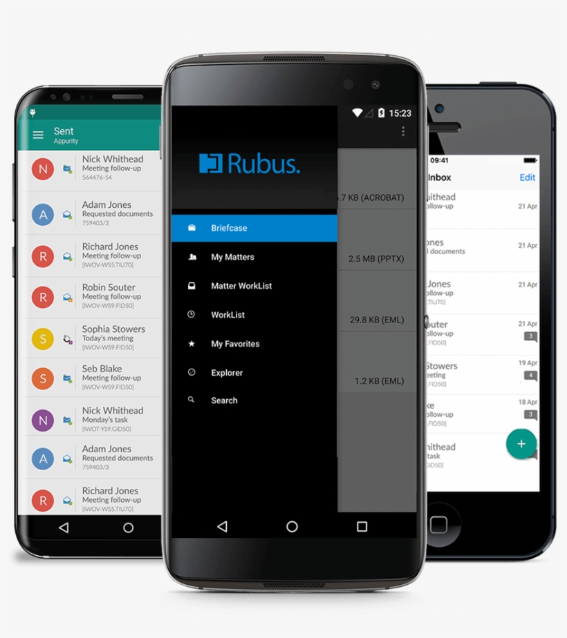 Brambles Transparent PNG - 942x1000 - Free Download on NicePNG