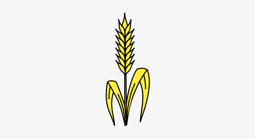 Wheat Stalk Vector Png - Wheat Heraldry Transparent PNG - 392x435 ...