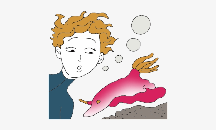 Sea Slug - Illustration Transparent PNG - 450x450 - Free Download on ...