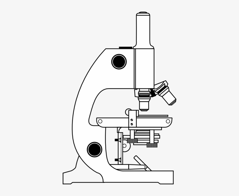 Cartoon Microscope Clipart Black