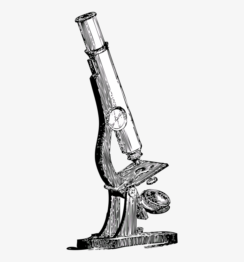 Scientific Revolution