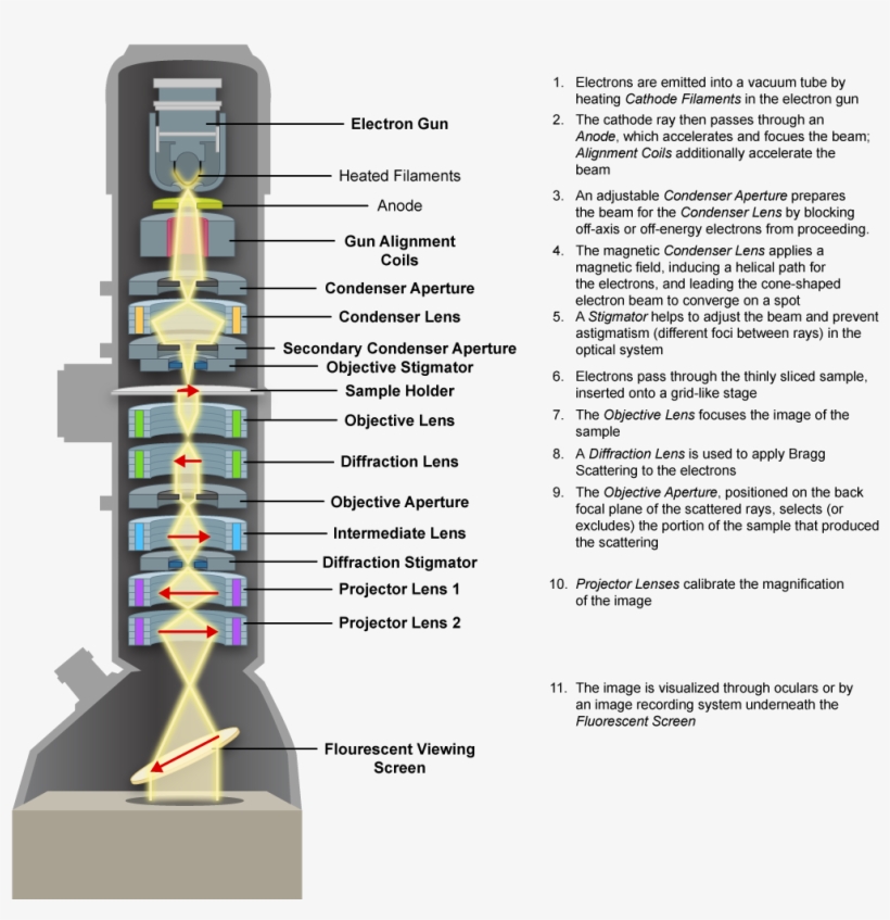 Transmission Electron Microscope - Microscope Transparent PNG ...