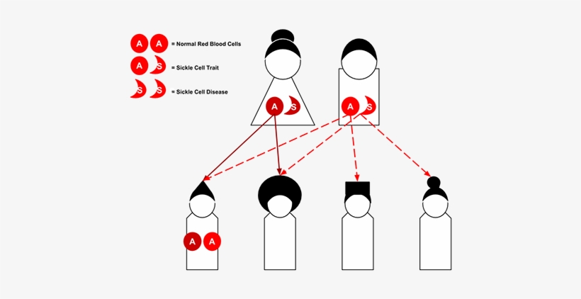 Download Possibility - Diagram - HD Transparent PNG - NicePNG.com