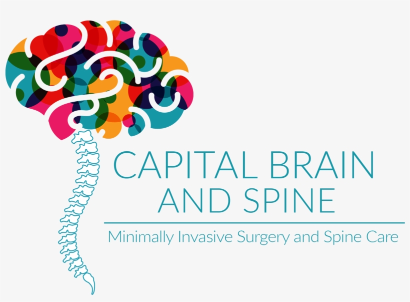 Download Brain And Spine Logo - HD Transparent PNG - NicePNG.com
